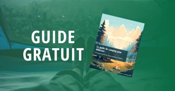 Loi Scoute, promesse et valeurs du scoutisme